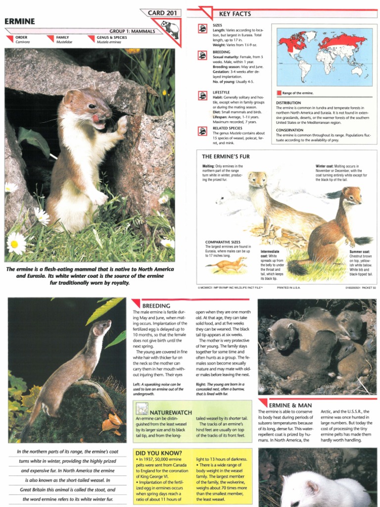 Wildlife Fact File - Mammals - Pgs. 201-210 | Conservation | Nature
