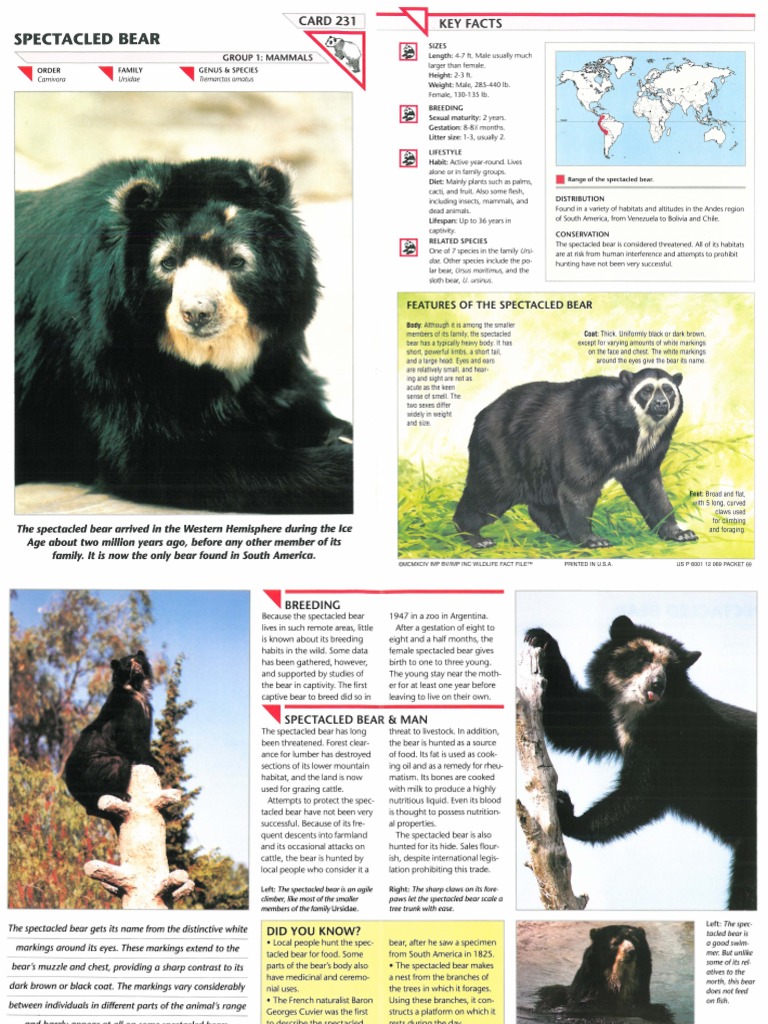 Wildlife Fact File - Mammals - Pgs. 231-240 | PDF | Whales | Bears