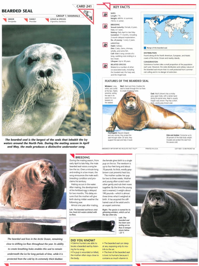 Wildlife Fact File - Mammals - Pgs. 241-250 | Pinniped | Dolphin