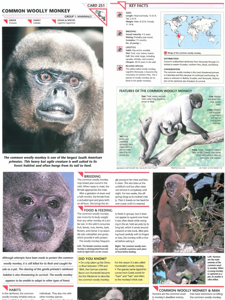 Wildlife Fact File - Mammals - Pgs. 251-260 | PDF | Nature