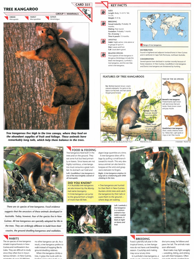 Wildlife Fact File - Mammals Pgs. 331-340 | PDF | Pinniped