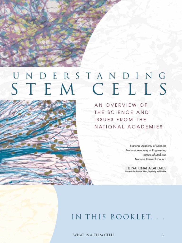 Understanding Stem Cells | PDF | Stem Cell | Embryonic Stem Cell