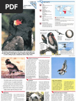 CLASS 3 SCIENCE CHAPTER 3 BIRDS Mrs. Geetarani Das | PDF | Birds | Feather