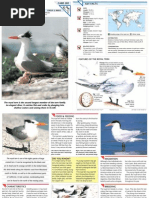 Wildlife Fact File - Mammals - Pgs. 201-210 | PDF | Conservation | Nature