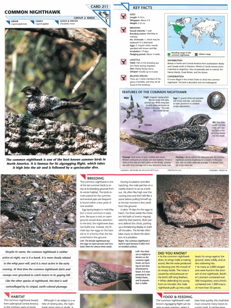 Wildlife Fact File - Birds - Pgs. 211-220 | Download Free PDF | Birds ...