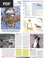 Science Worksheet Reproduction in Animals Class 4 B | PDF | Egg | Yolk