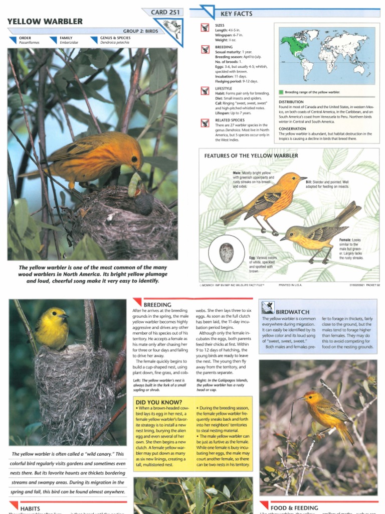 Wildlife Fact File - Birds - Pgs. 251-260 | Penguin | Owl