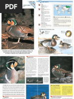 Wildlife Fact File - Mammals - Pgs. 1-10 | PDF | Elephant | Calf