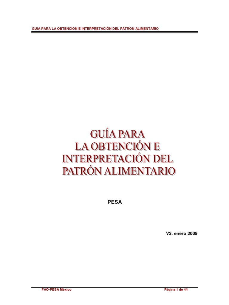 Guia Patron Alimentario PDF | PDF | Dieta | Alimentos