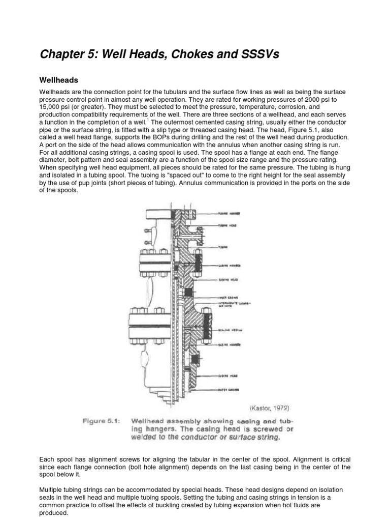 Well Head | PDF | Casing (Borehole) | Valve