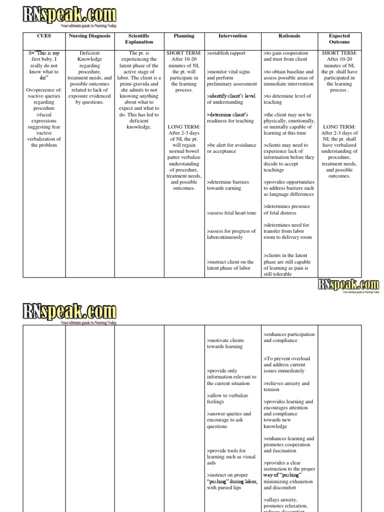 Labor Nursing Care Plan (1) | Childbirth | Learning