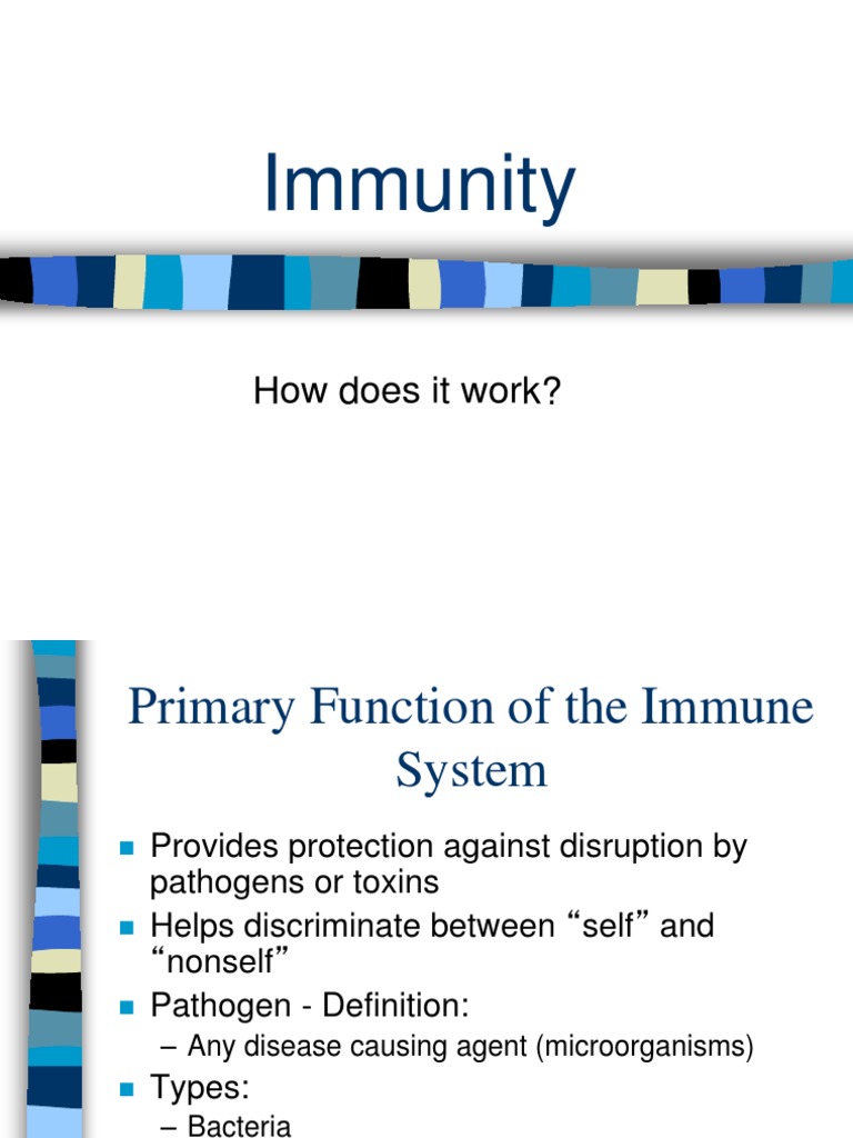 Immune System Powerpoint | PDF | Immune System | T Cell