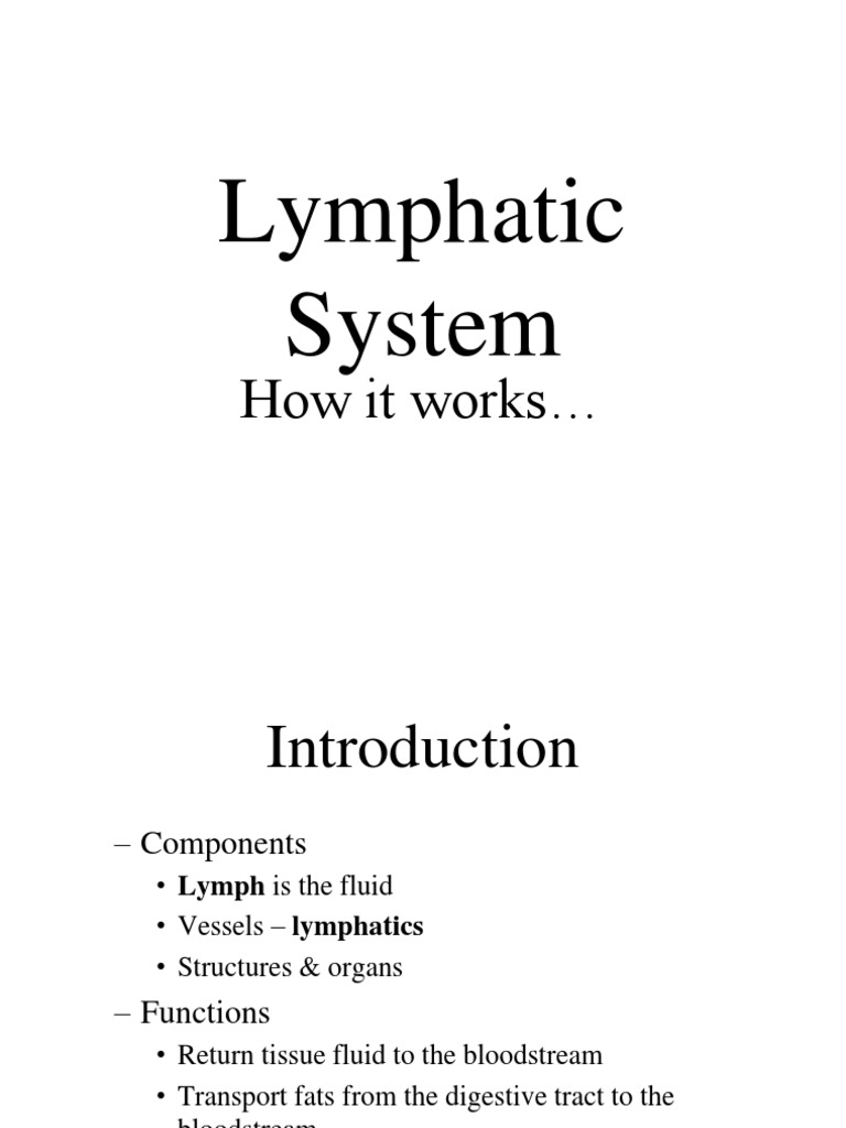 Lymphatic System Powerpoint Pdf Lymphatic System Lymph Node