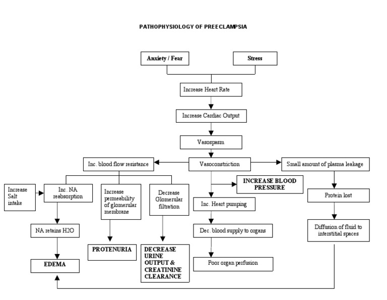 Pathophysiology Preeclampsia
