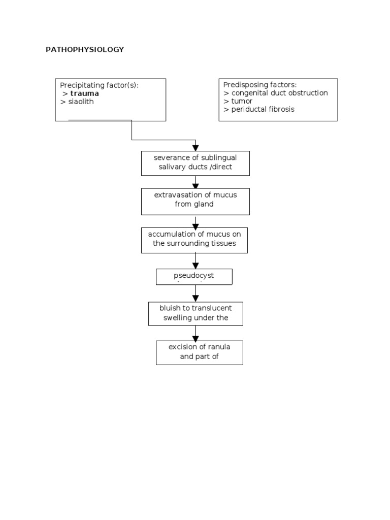 Simple Ranula Formation Pathophysiology | PDF