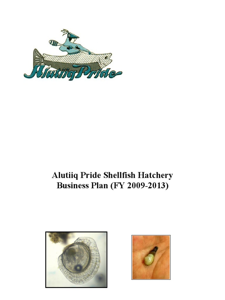 Hatchery Business Plan | PDF | Bivalvia | Oyster