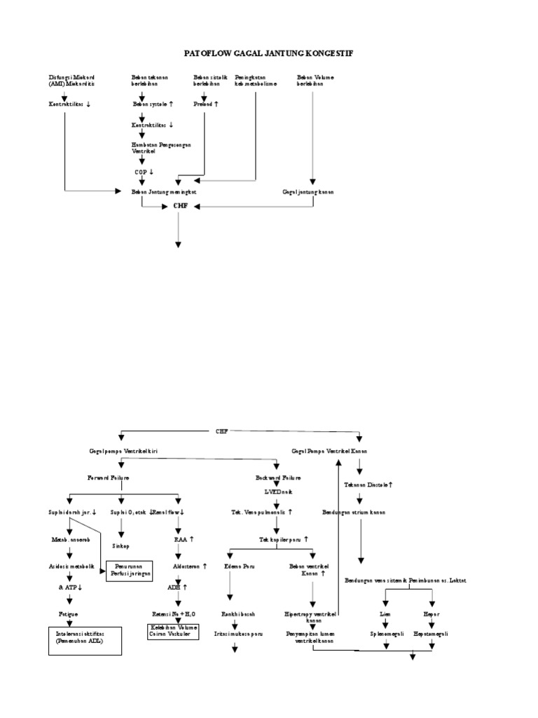 Pathway Gagal Jantung Kongestif | PDF