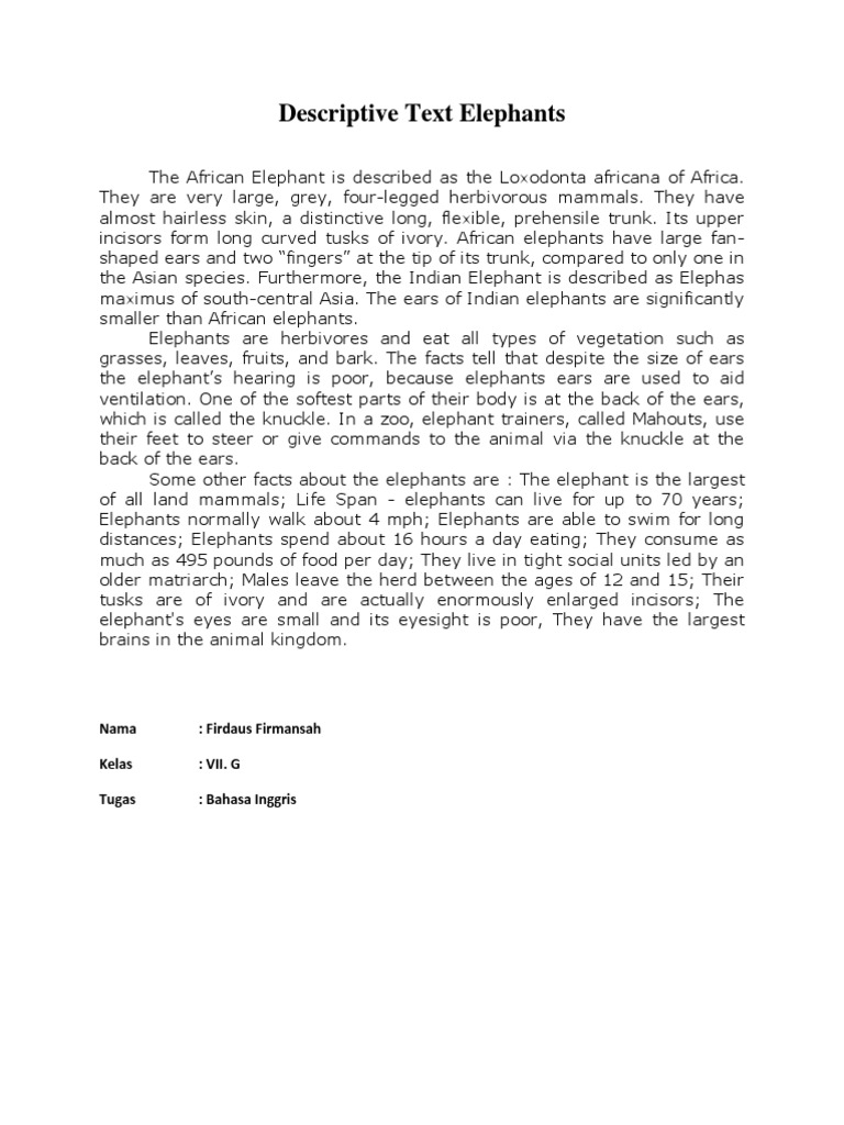 Descriptive Text | Elephant | Proboscideans