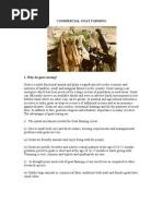 Cattle Project Proposal | PDF | Cattle | Livestock