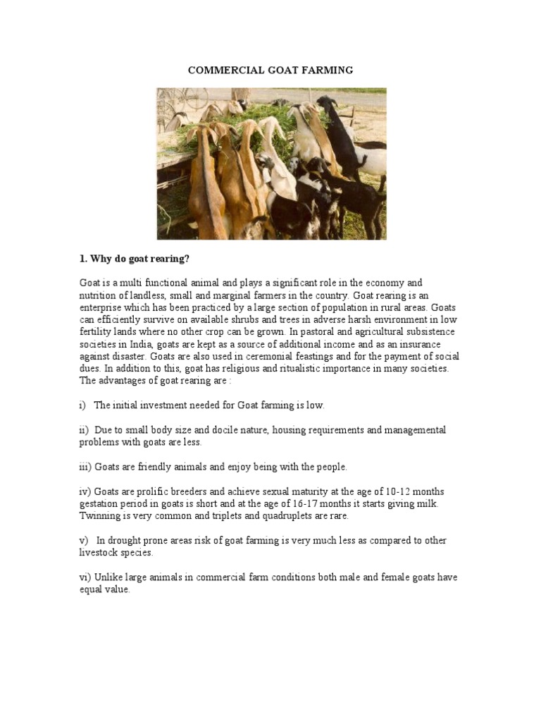 Goat Farming Document | PDF | Goat | Livestock