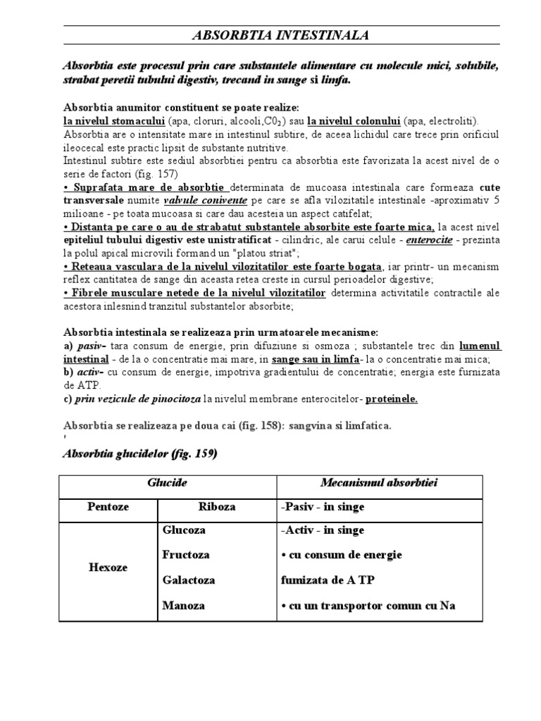 Absorbtia Intestinala | PDF