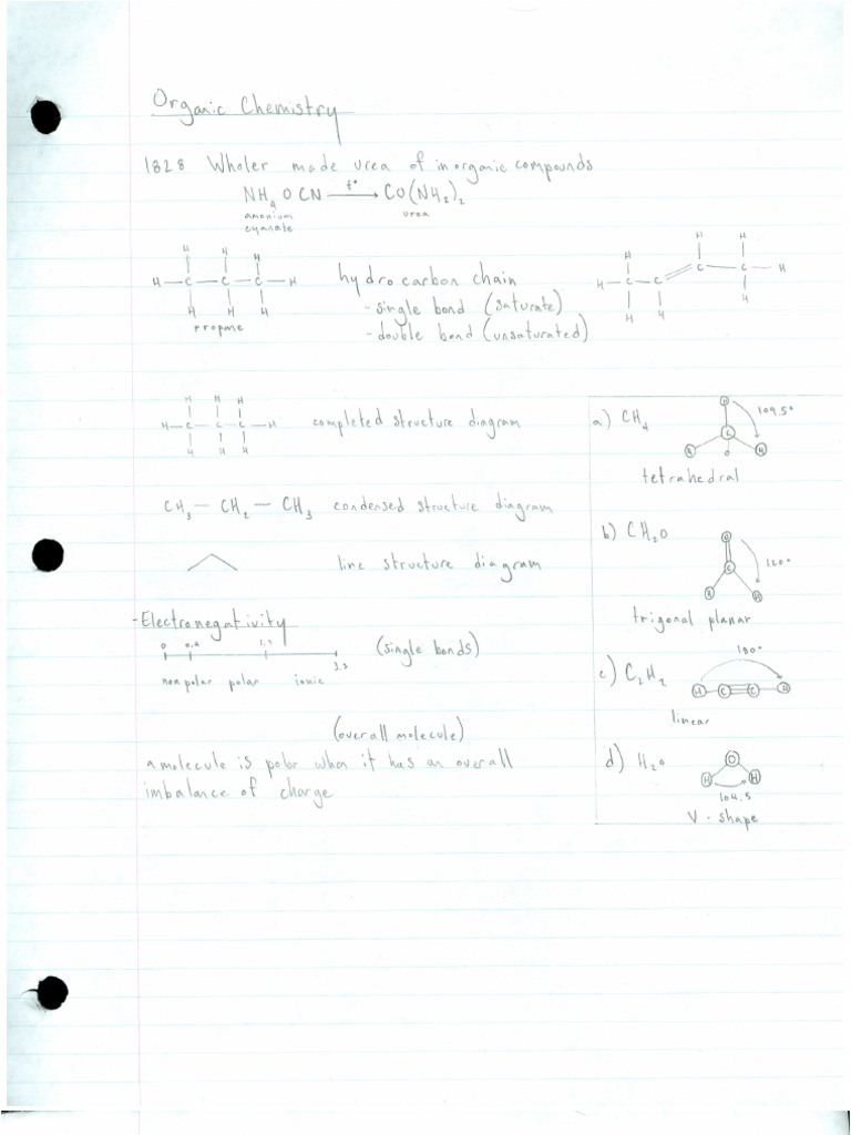 Grade 12 Organic Chemistry Notes | PDF | Home & Garden