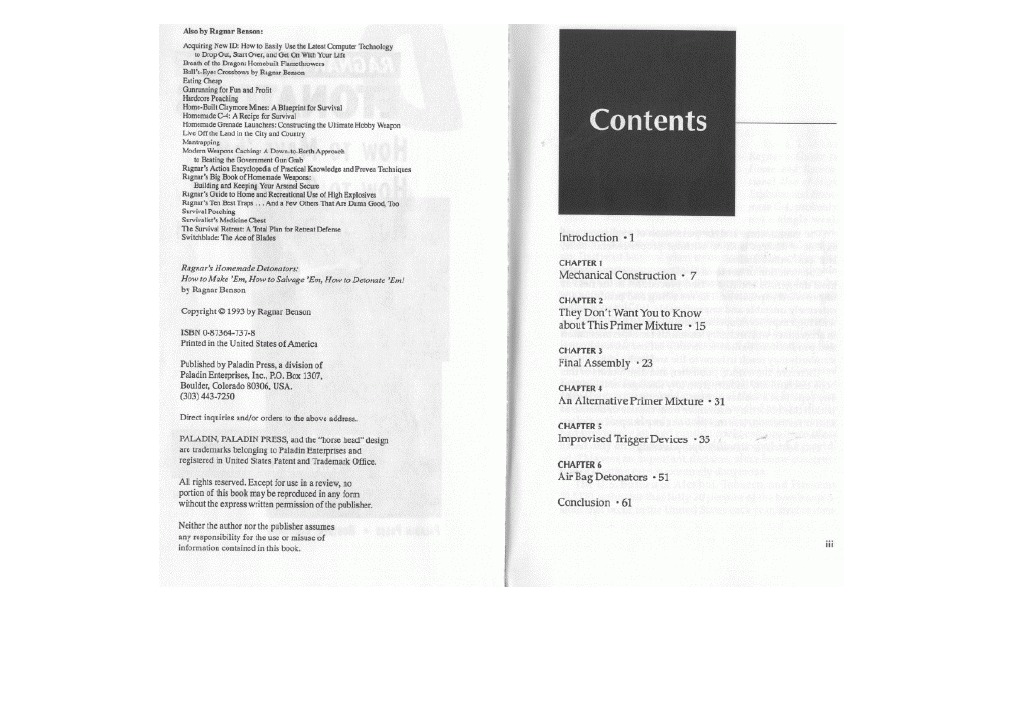 Ragnar Benson Homemade Detonators PDF | PDF