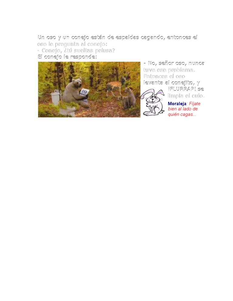Humor: Oso y Conejo en el Bosque | PDF | Hogar, jardinería y bricolaje