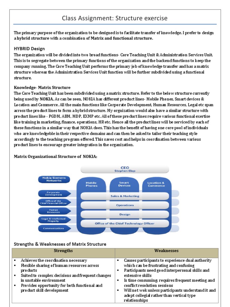 Hybrid Structure | Download Free PDF | Organizational Structure | Business