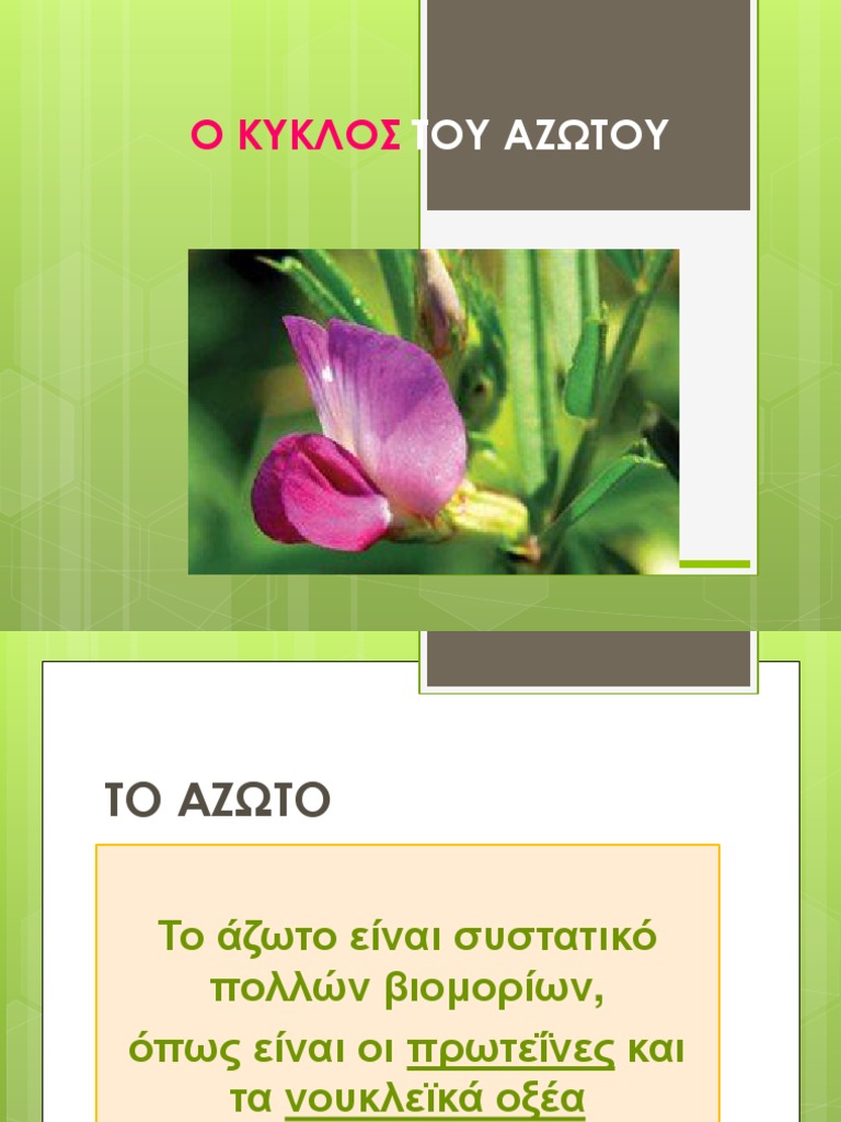 Ο ΚΥΚΛΟΣ ΤΟΥ ΑΖΩΤΟΥ | PDF