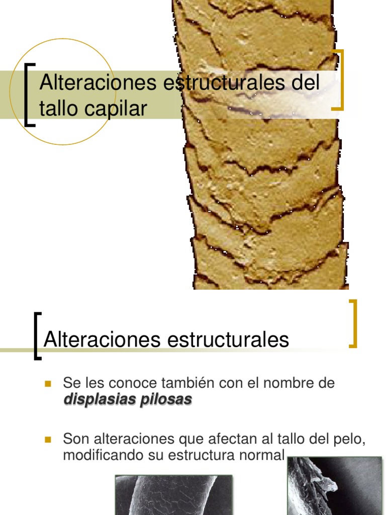 Alteraciones Estructurales del Cabello | PDF | Pelo | Tallo de la planta