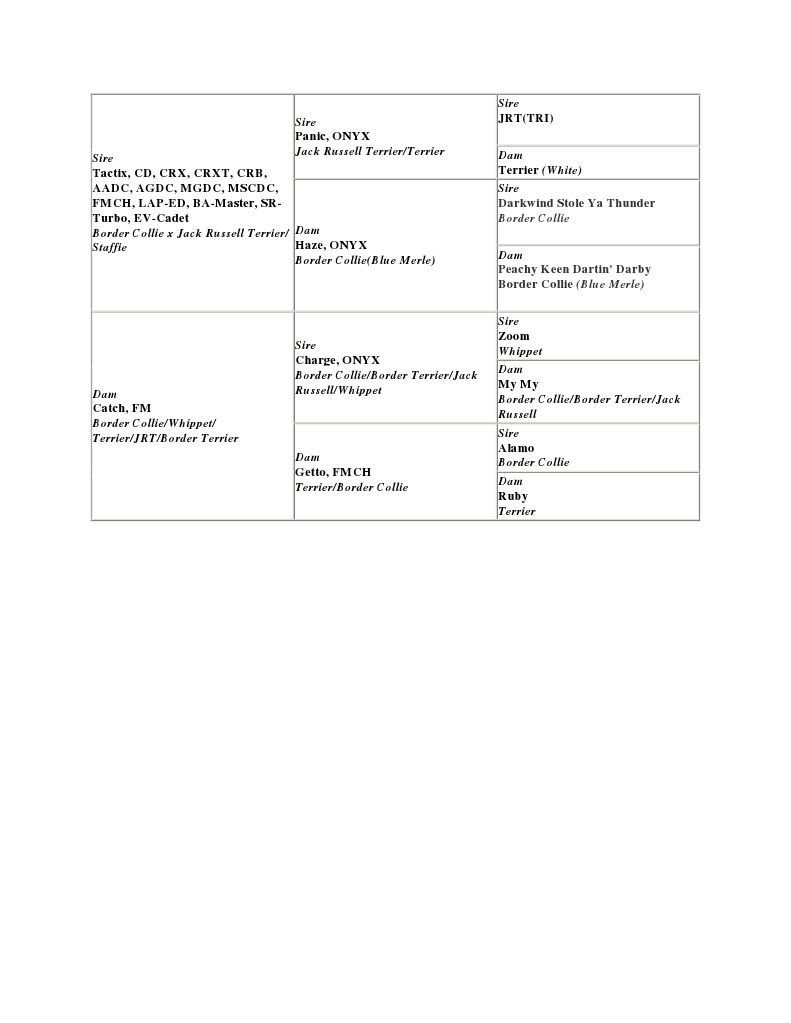 Dog Breeding Lineage Chart | PDF
