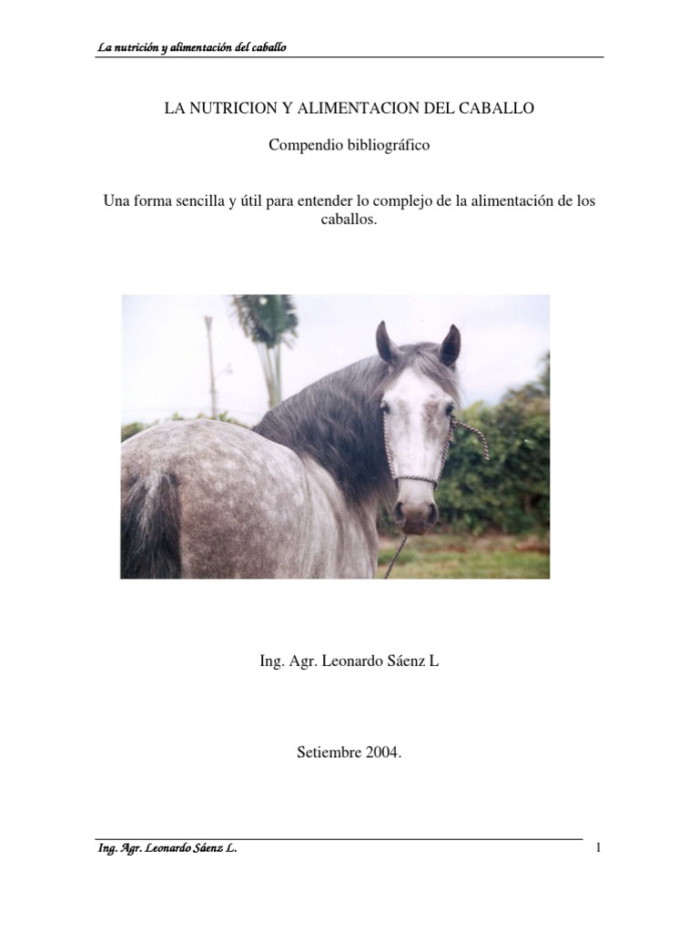 Nutricion y Alimentacion Caballos | Vitamina | Músculo