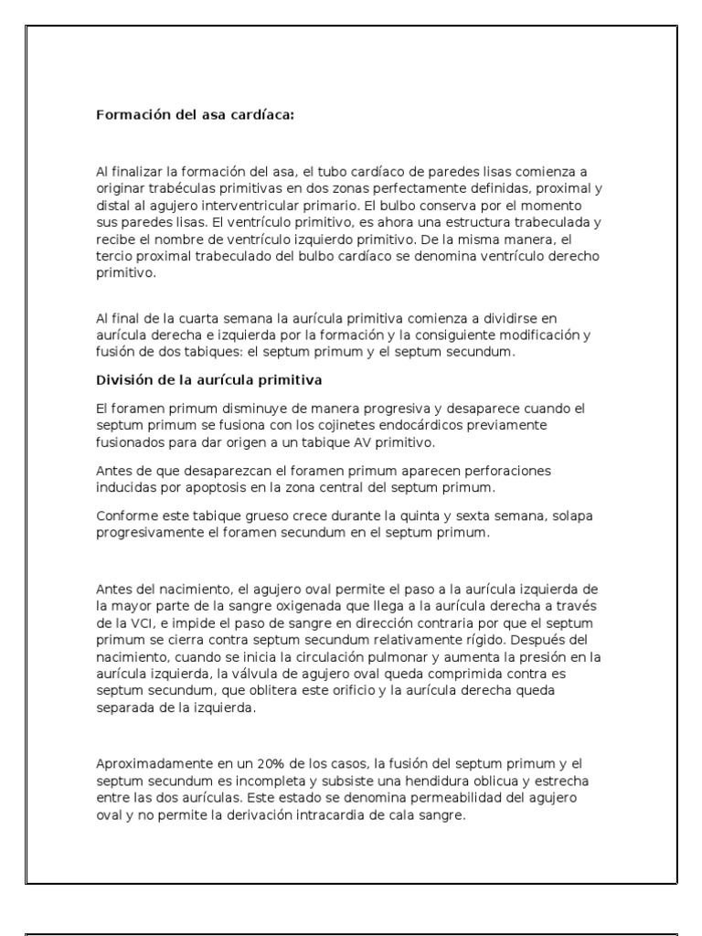 Formación del Asa Cardíaca y Estructuras Asociadas | PDF | Corazón ...