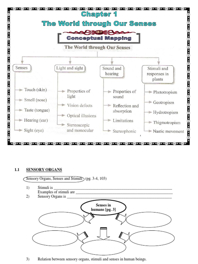 Science Form 2 Chapter 1 Notes | PDF | Taste | Stimulus (Physiology)