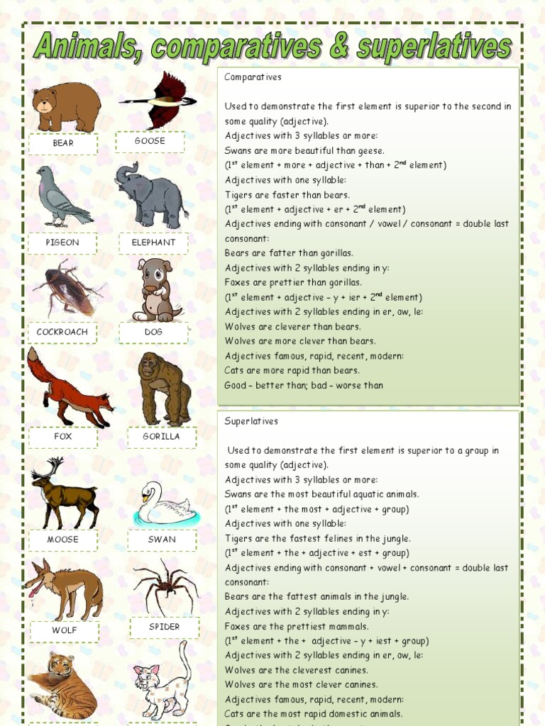 Animals Comparatives Superlat | PDF | Adjective | Syllable