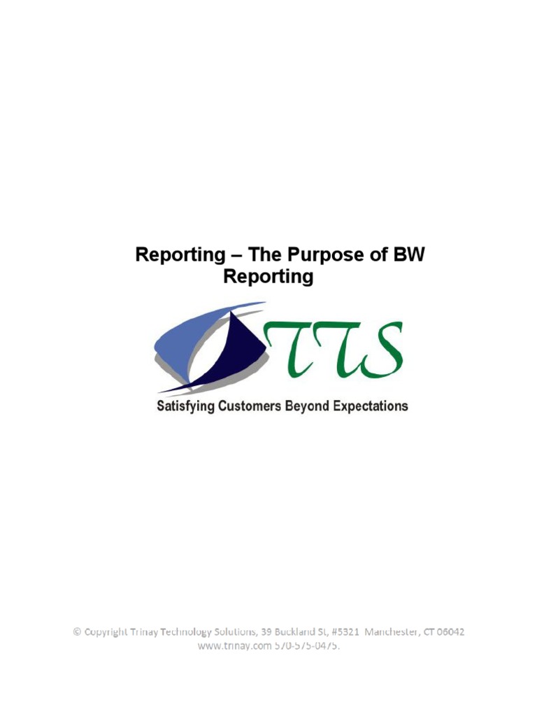 Everything You Want To Know About Sap BW Reporting | PDF