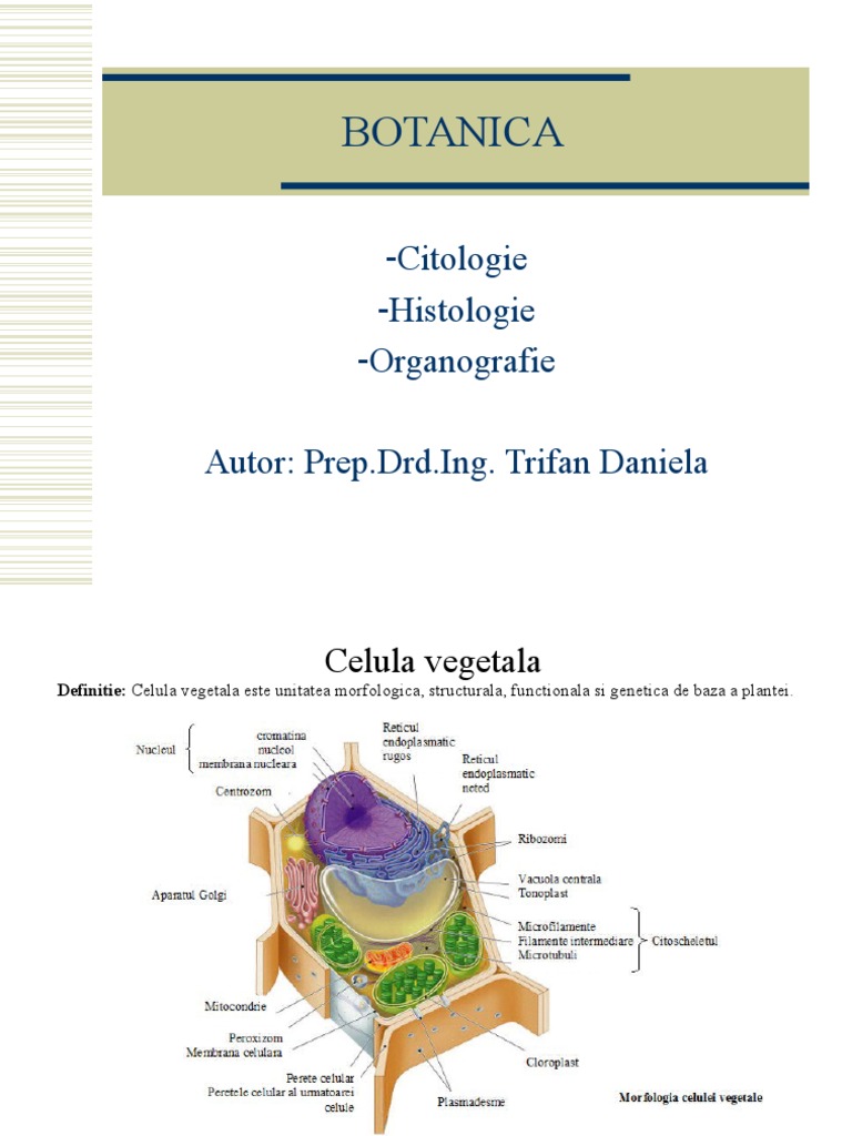 Botanica | PDF