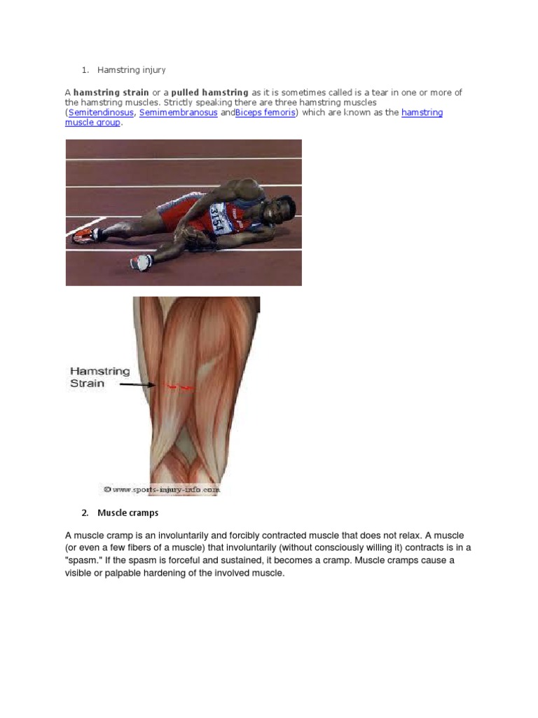 Hamstring Muscle Cramps and Injuries | PDF