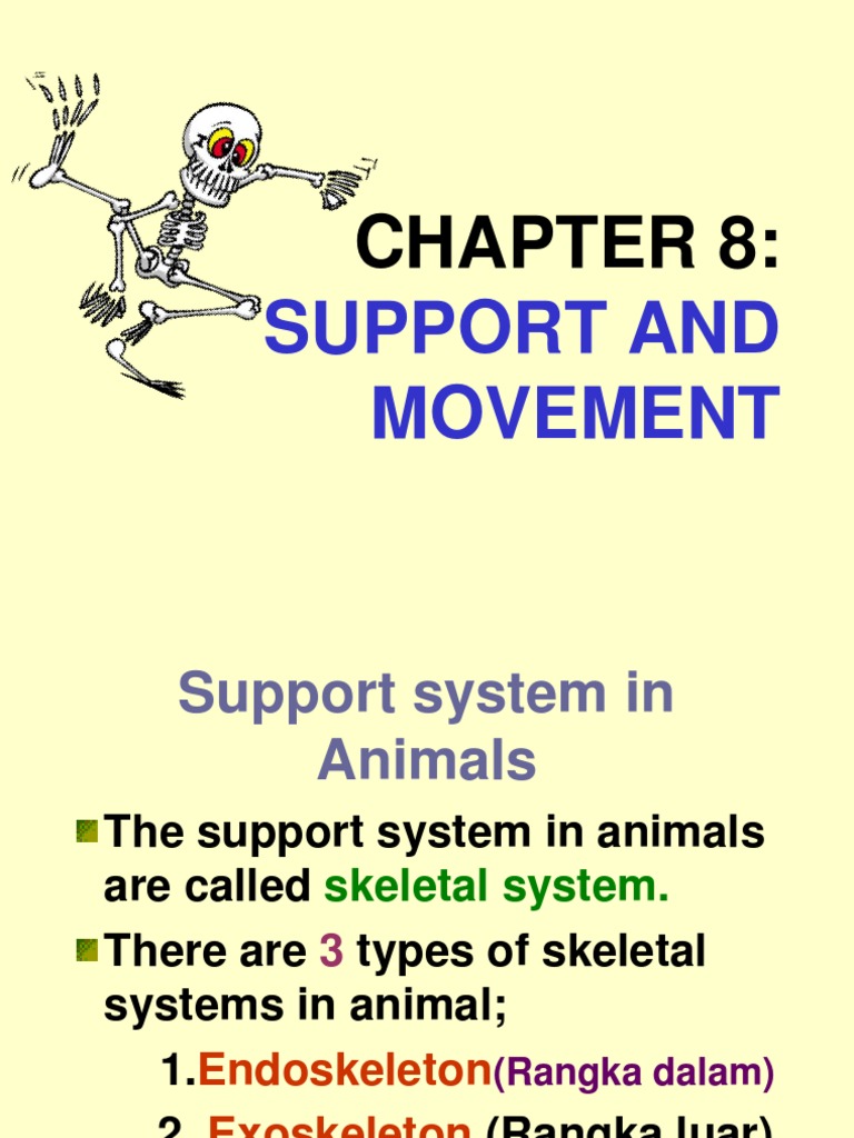 Chapter8-Support & Movement | PDF | Skeleton | Zoology