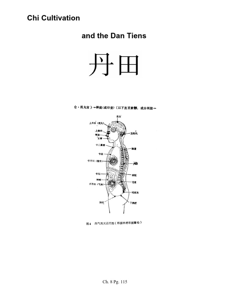 Chi Cultivation | Neidan | Qi