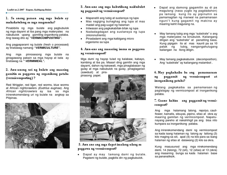 Kaibigang Bulate Leaflet | PDF