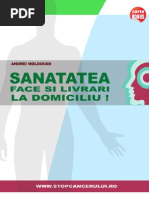 Saga Program Facturare - journallasopa