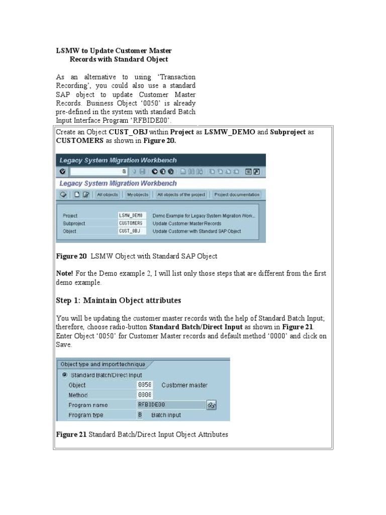 LSMW Example | PDF | File Format | Computer File