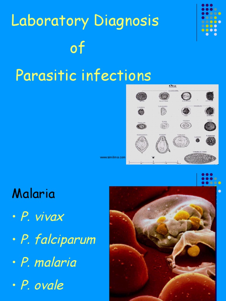 Laboratory Diagnosis of Parasitic Infections | PDF | Immunology ...