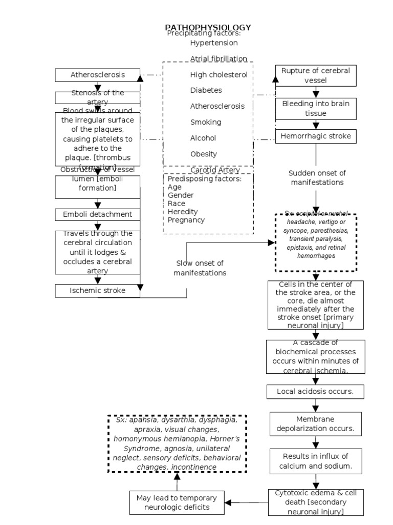 Cerebrovascular Accident Pathophysiology