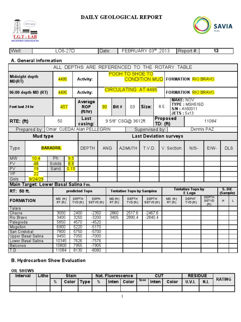 Daily Geological Report: Well: LO6-27D Date: February 03, 2013 Report ...