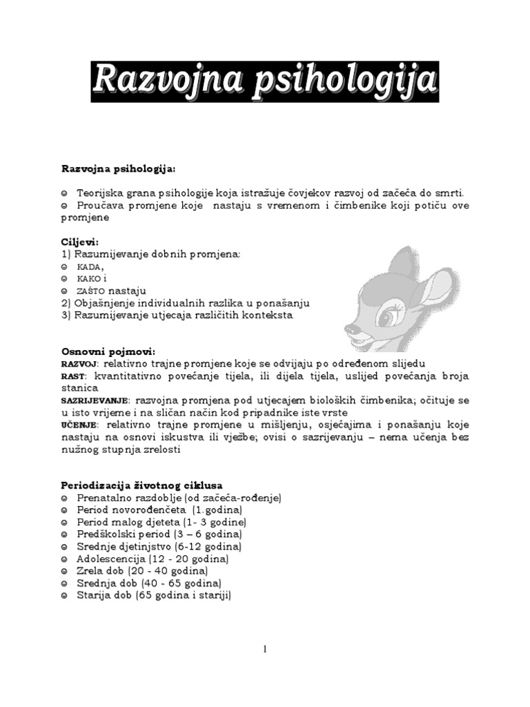 Razvojna Skripta | PDF