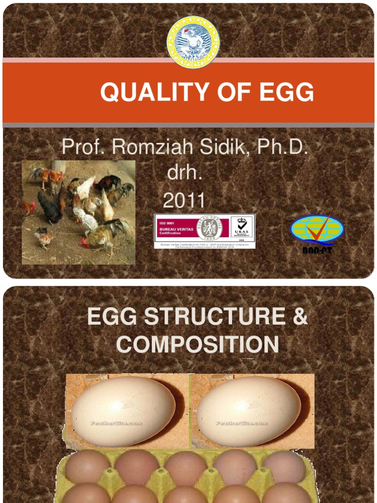 Quality of Egg: Prof. Romziah Sidik, Ph.D. Drh. 2011 | PDF | Egg | Yolk