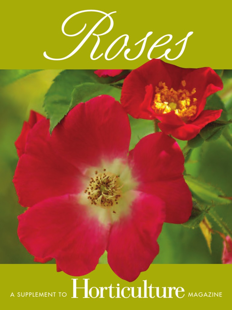 A Supplement To Magazine | PDF | Rose | Branches Of Botany
